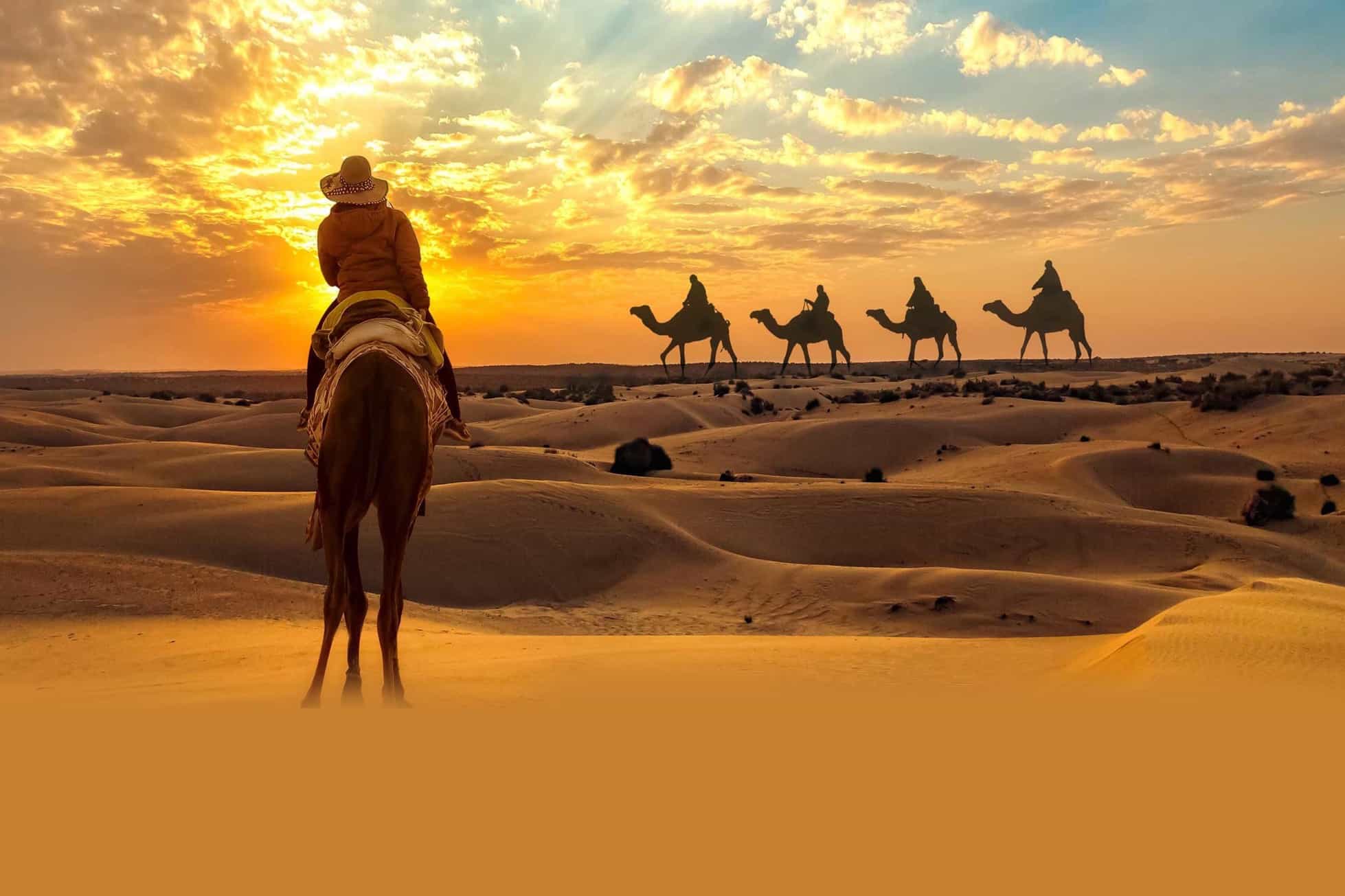 The best companies for desert safaris in Dubai and Abu Dhabi