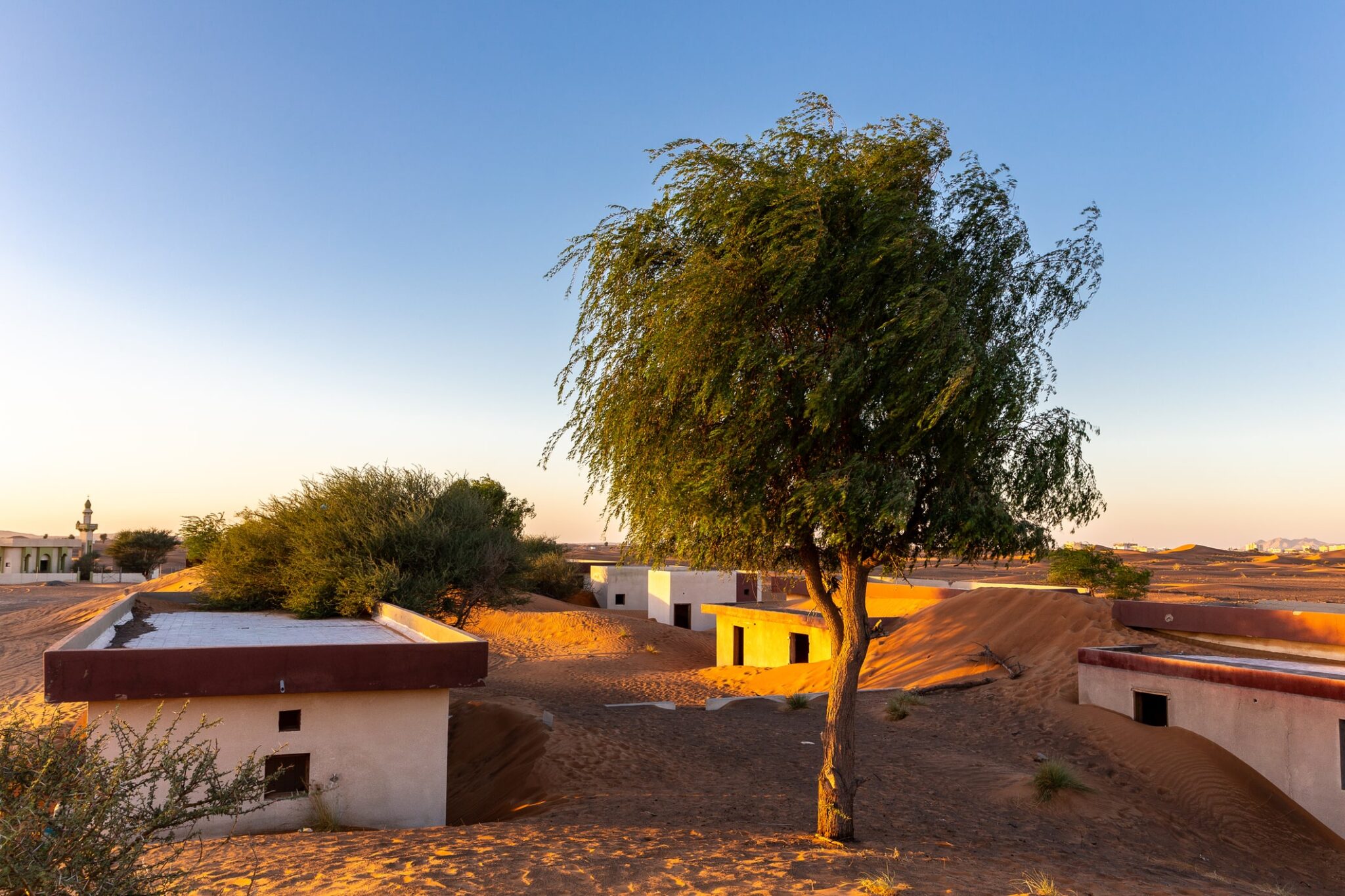 Al Madam Ghost Town: How to visit Sharjah's abandoned village - Near ...